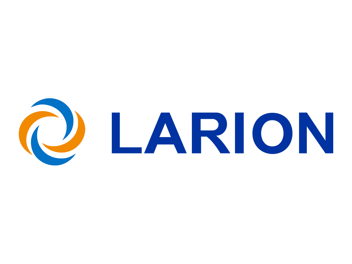 LARION: Software Solutions For Business Success